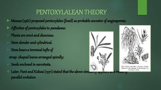 Origin and evolution of angiosperms | PPTX
