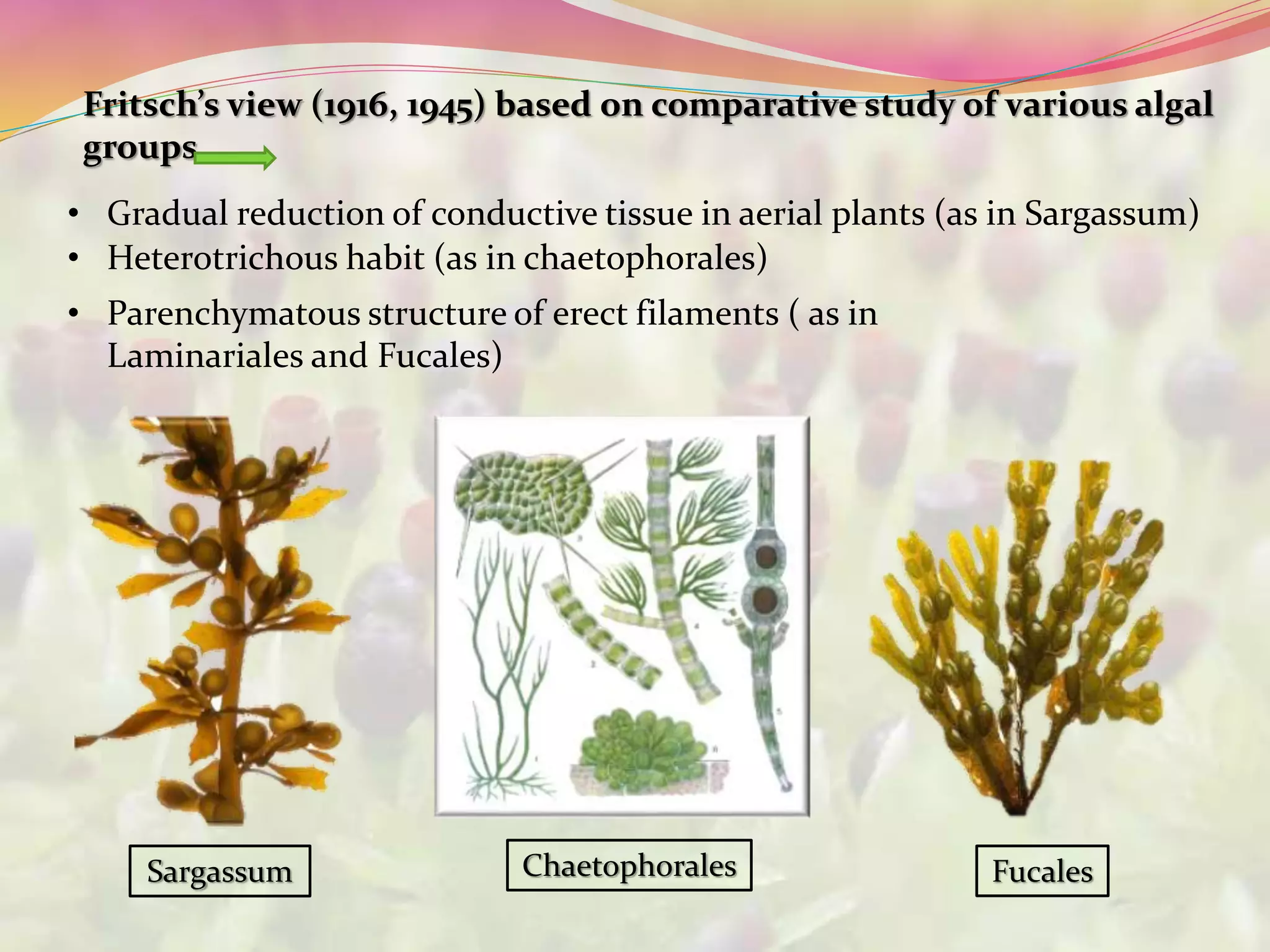 Origin and evolution of bryophytes | PPTX