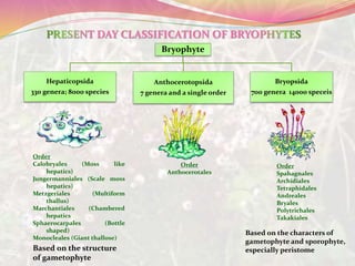 Origin and evolution of bryophytes | PPTX