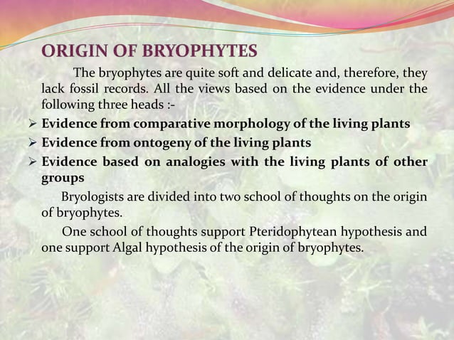 Origin and evolution of bryophytes | PPTX | Biological Sciences | Science