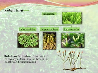 Origin and evolution of bryophytes | PPTX
