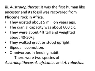 Origin and evolution of human | PPTX