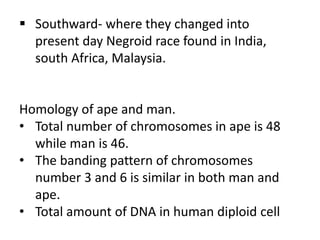 Origin and evolution of human | PPTX