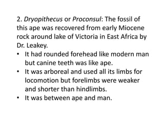 Origin and evolution of human | PPTX