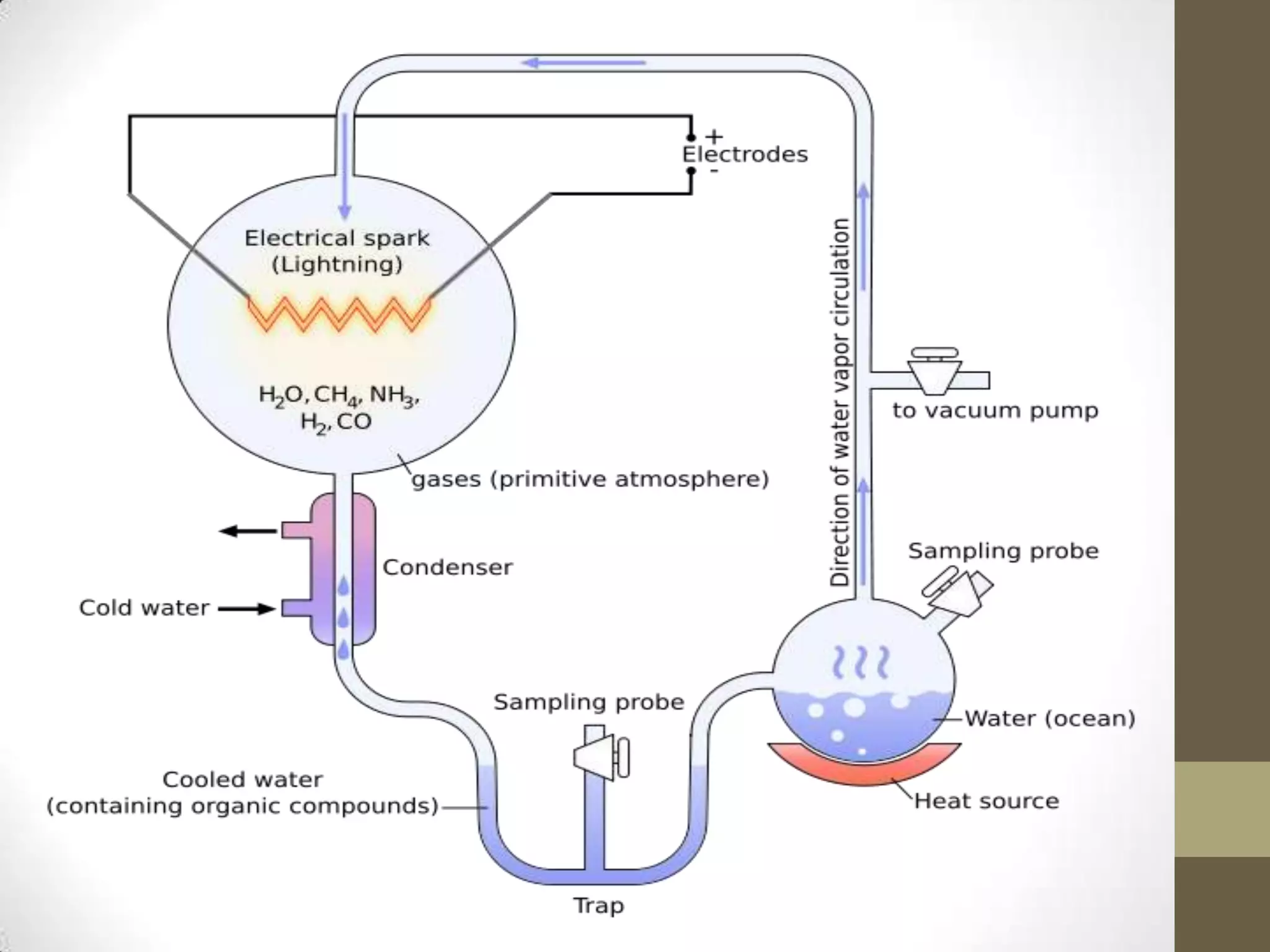 Origin and evolution of life | PPTX