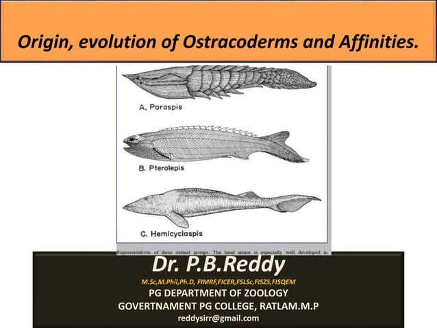 Origin and evolution of ostracoderms | PPTX