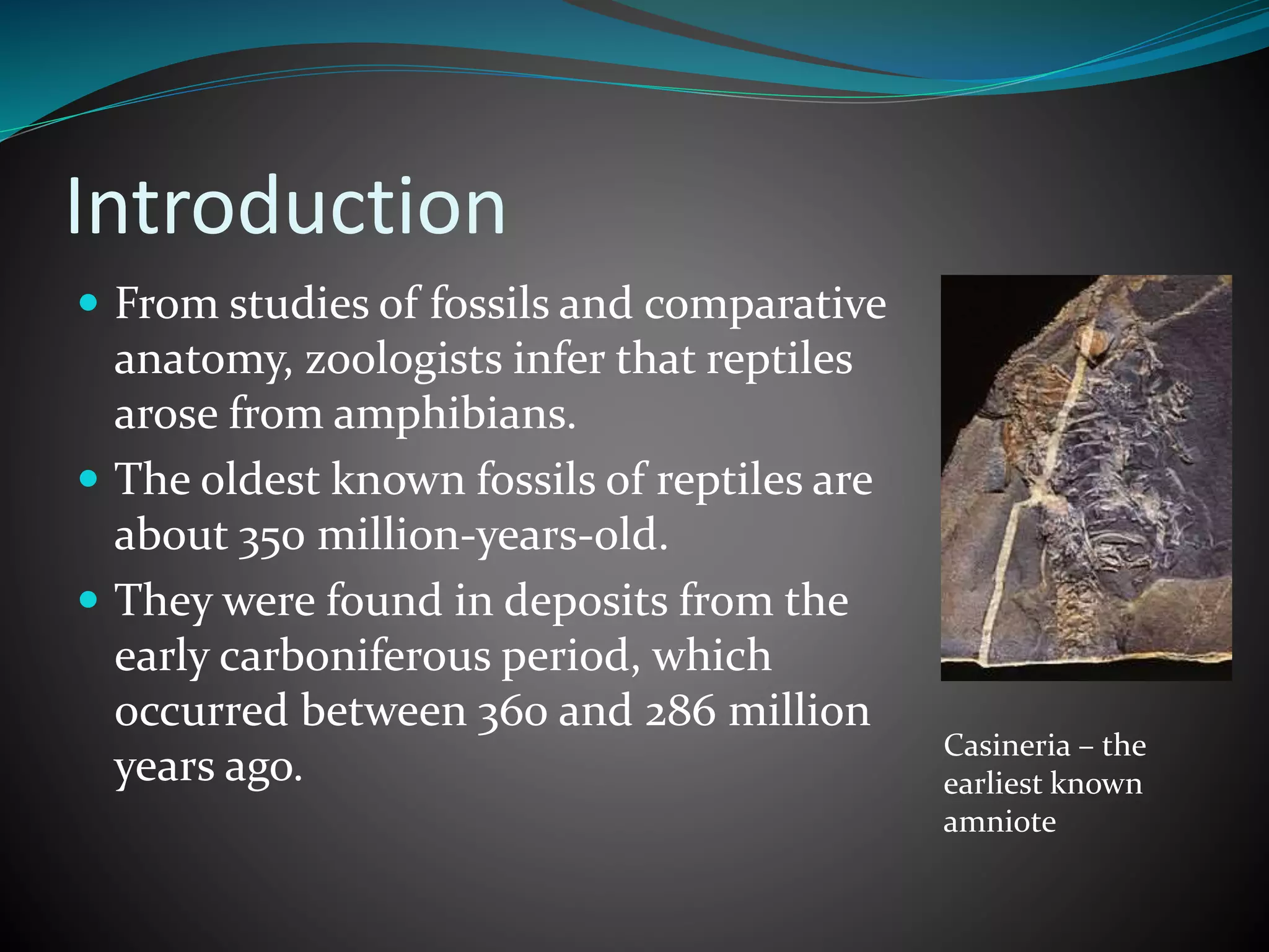 Origin and evolution of reptiles | PPTX