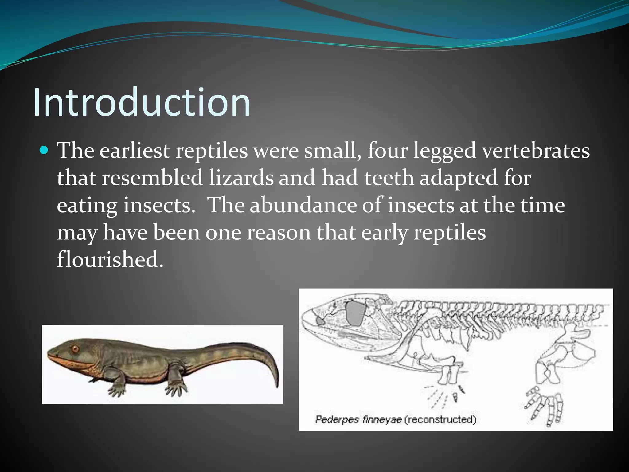 Origin and evolution of reptiles | PPTX