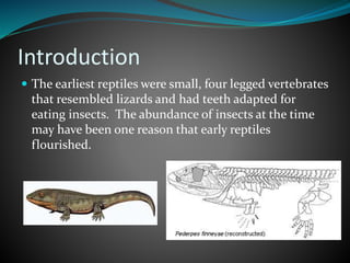 Origin and evolution of reptiles | PPTX