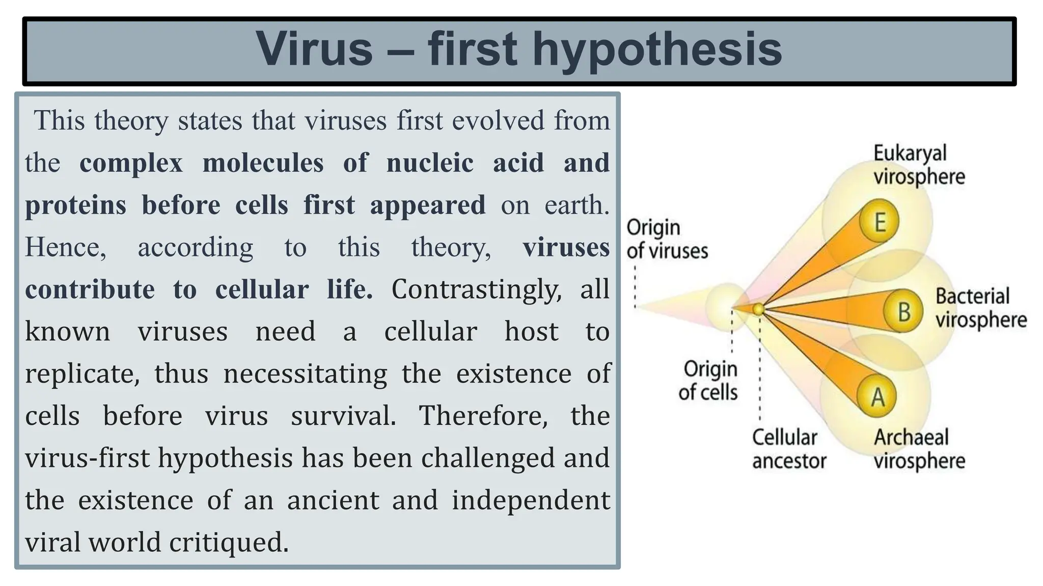 ORIGIN AND EVOLUTION OF VIRUS .pptx