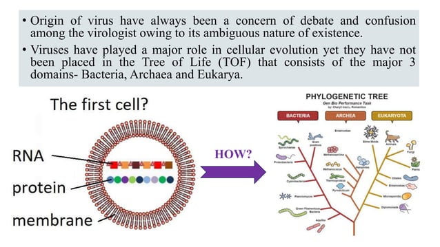 ORIGIN AND EVOLUTION OF VIRUS .pptx