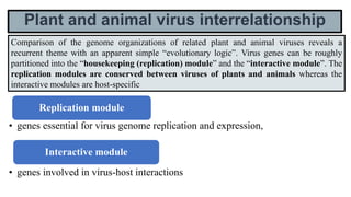 ORIGIN AND EVOLUTION OF VIRUS .pptx