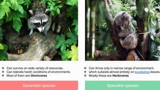 Origin and extiction of phanerozoic eon | PPTX