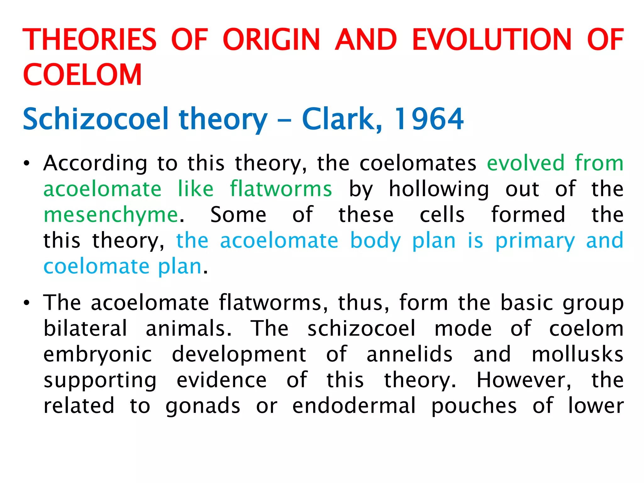 Origin and Organization of Coelom_MS.pptx