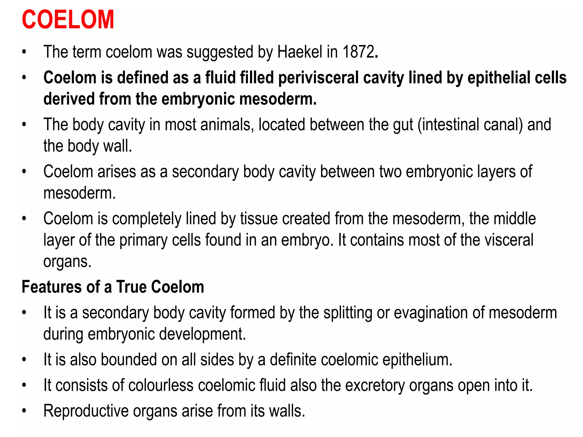 Origin and Organization of Coelom_MS.pptx