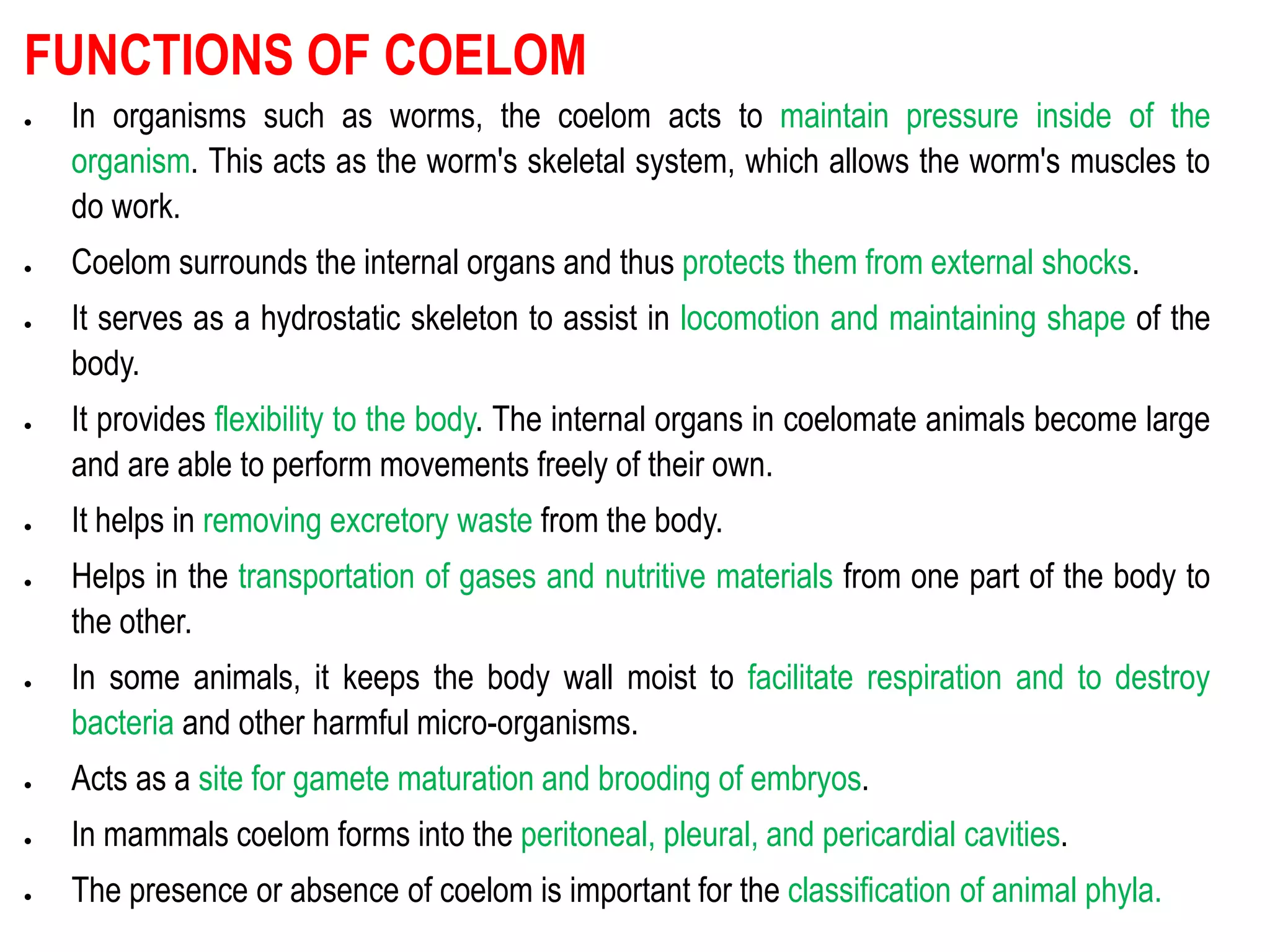 Origin and Organization of Coelom_MS.pptx