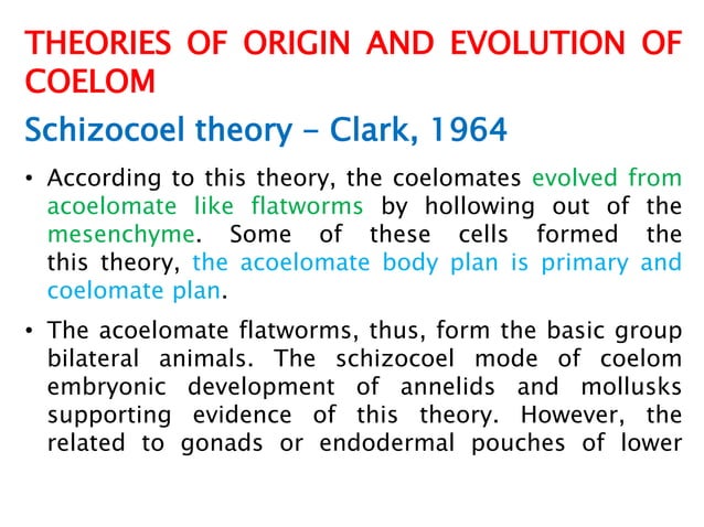 Origin and Organization of Coelom_MS.pptx