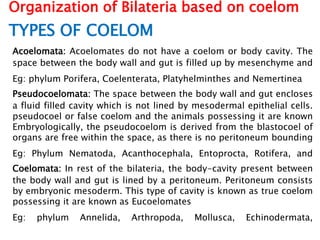 Origin and Organization of Coelom_MS.pptx
