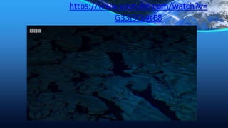 Origin and Structure of the Universe.pptx