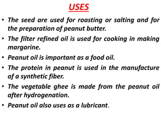Origin,cultivation & uses of food crops ....potato | PPTX