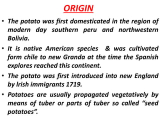 Origin,cultivation & uses of food crops ....potato | PPTX