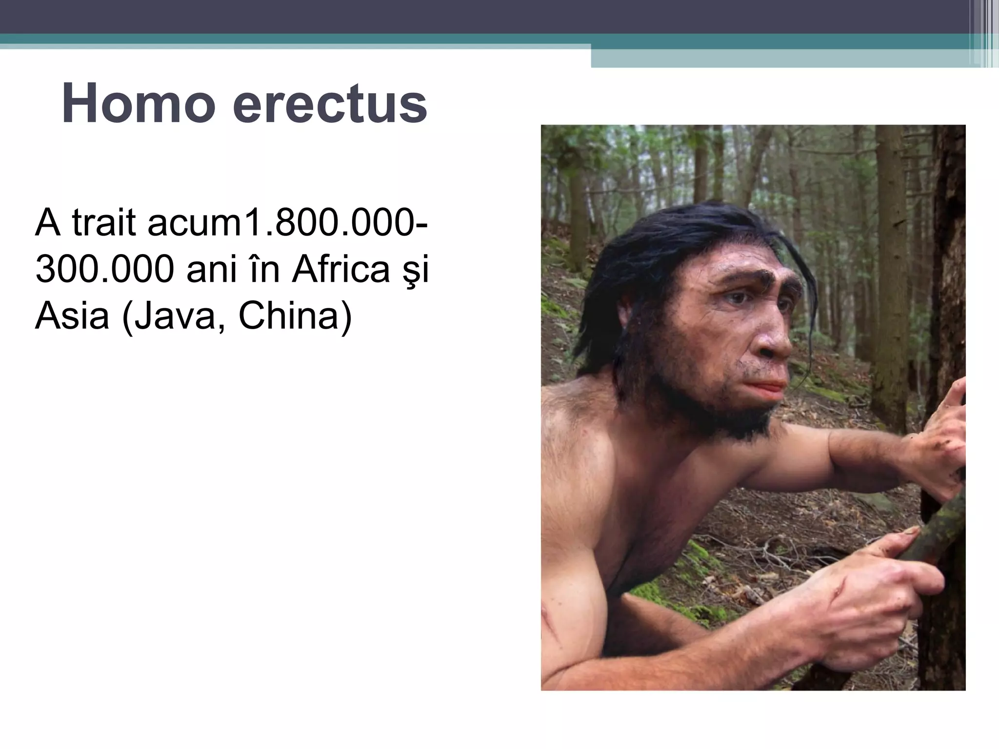 Originea si evolutia omului varianta finala | PPT