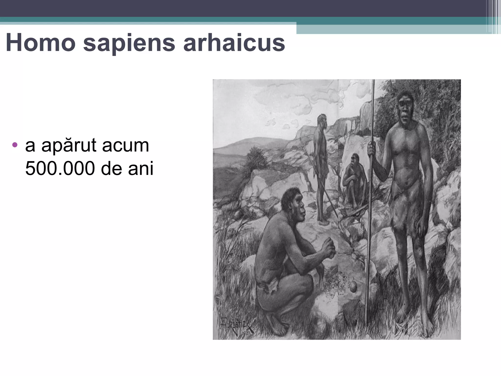Originea si evolutia omului varianta finala | PPT