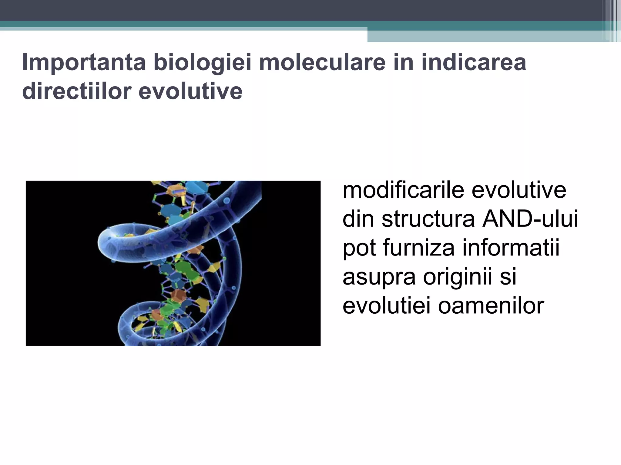 Originea si evolutia omului varianta finala | PPT