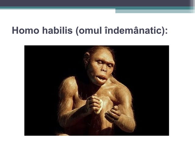 Originea si evolutia omului varianta finala | PPT