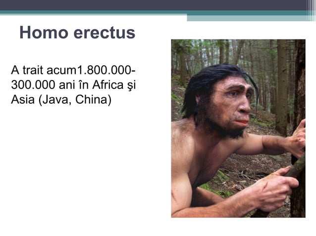 Originea si evolutia omului varianta finala | PPT