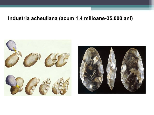 Originea si evolutia omului varianta finala | PPT