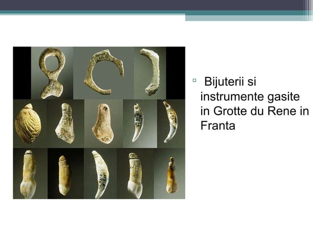 Originea si evolutia omului varianta finala | PPT