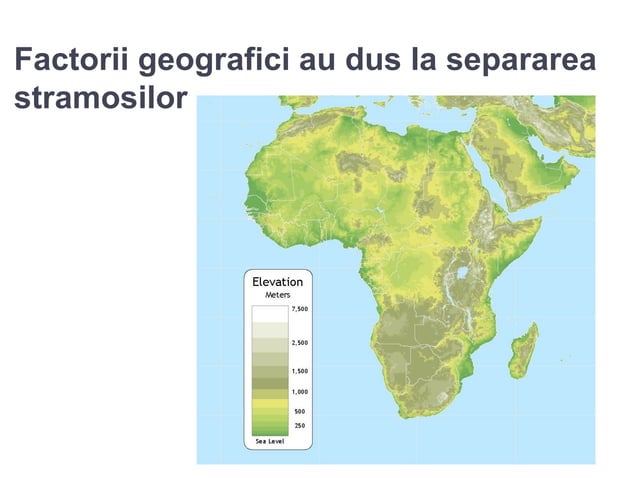 Originea si evolutia omului varianta finala | PPT