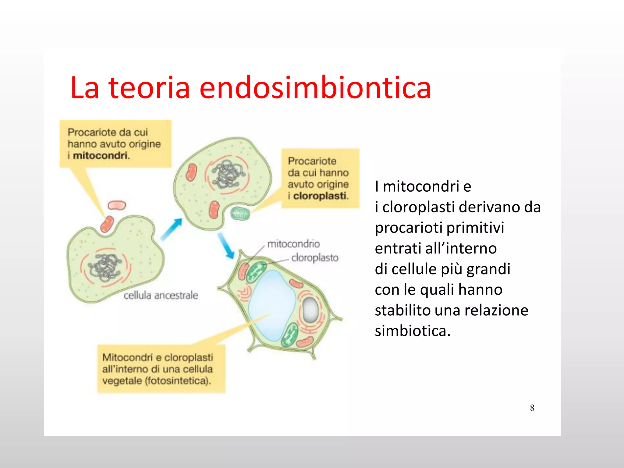 Origine ed evoluzione delle cellule | PPTX