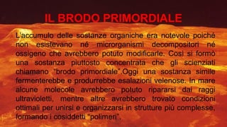 L'origine della vita | ODP