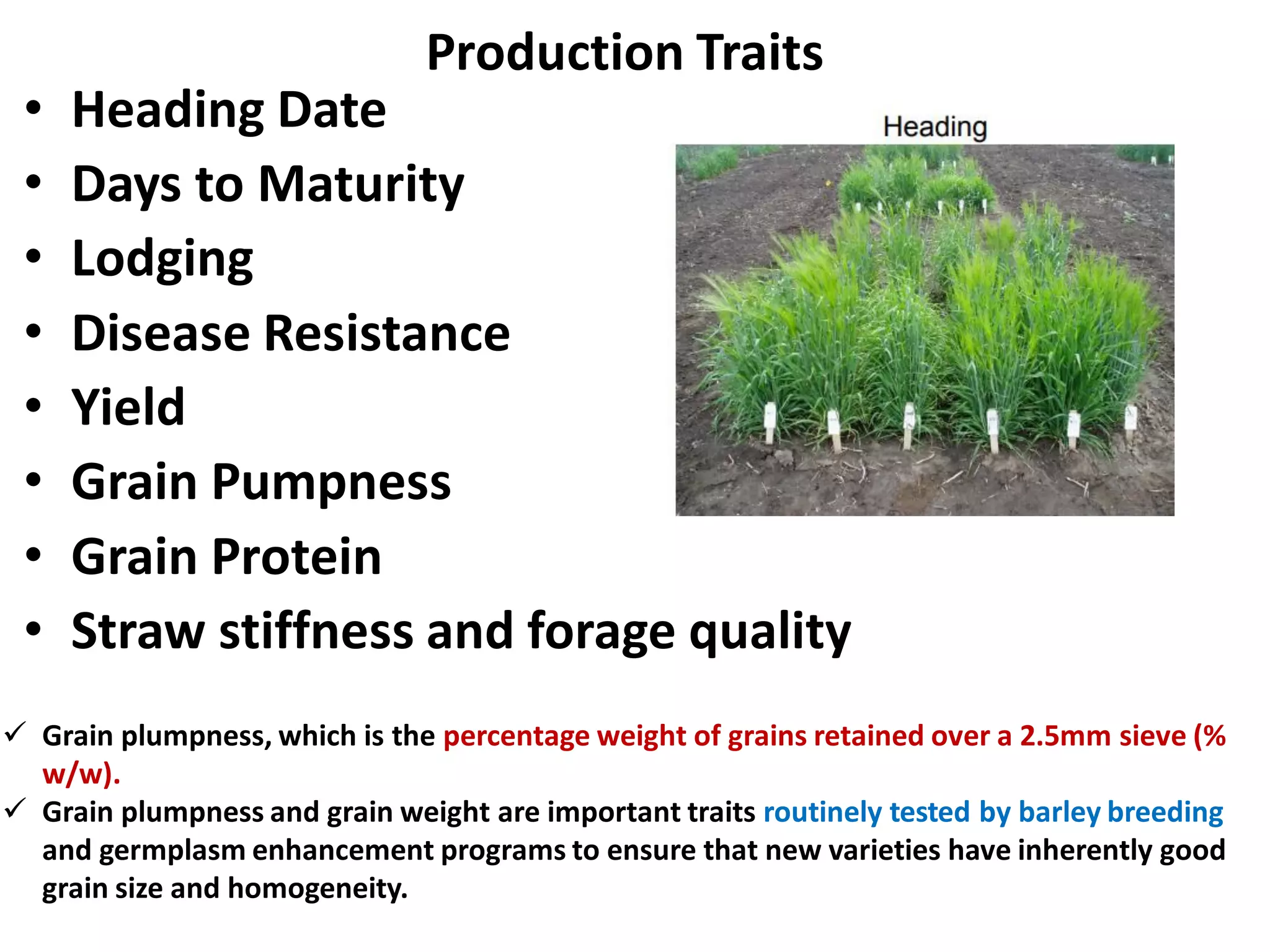 Origin, evolution and breeding of barley by gm singh 2021 | PDF