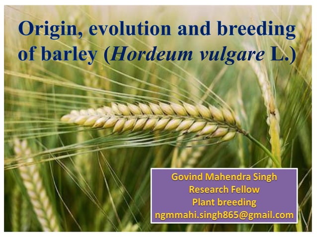Origin, evolution and breeding of barley by gm singh 2021 | PDF ...