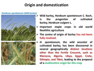 Origin, evolution and breeding of barley by gm singh 2021 | PDF