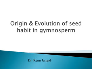 Origin & Evolution of seed habit in gymnosperm.pptx