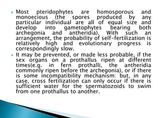 Origin & Evolution of seed habit in gymnosperm.pptx