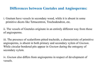 Origin of Angiosperm | PPTX