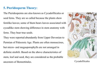 Origin of Angiosperm | PPTX