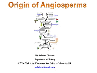 Angiosperms Diagram