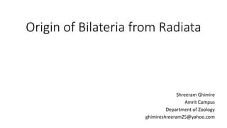 Origin of bilateria from radiata | PDF