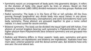 Origin of bilateria from radiata | PDF