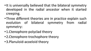 Origin of bilateria from radiata | PDF