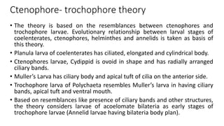 Origin of bilateria from radiata | PDF