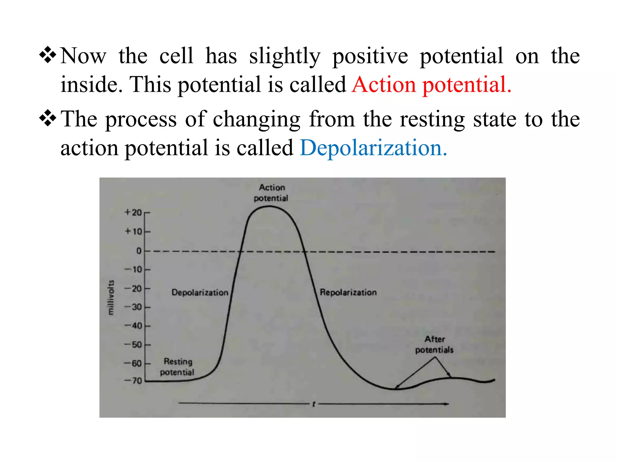 Origin of biopotentials | PPTX