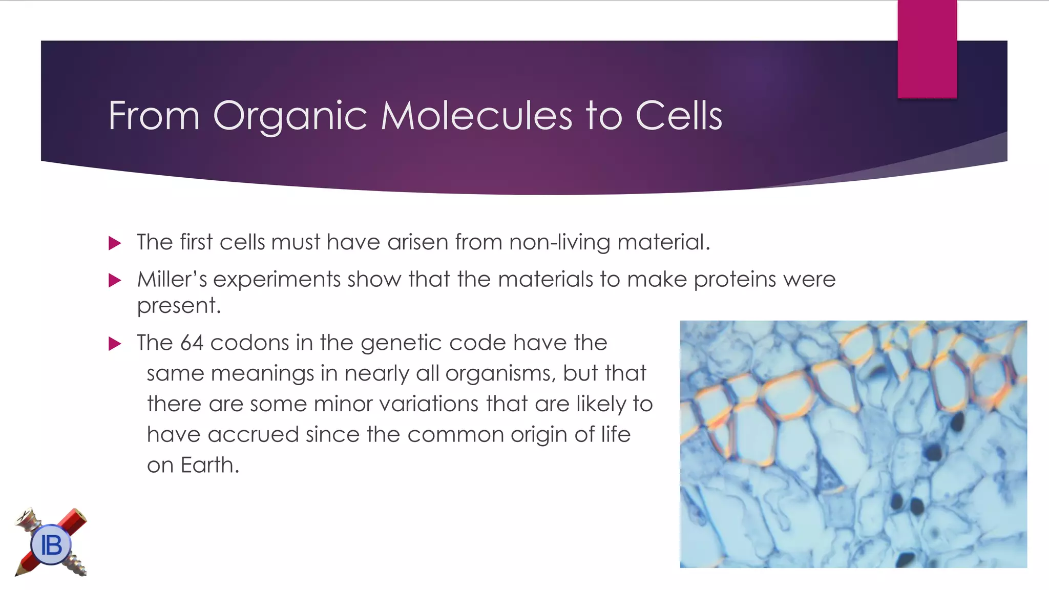 Origin of cells | PDF