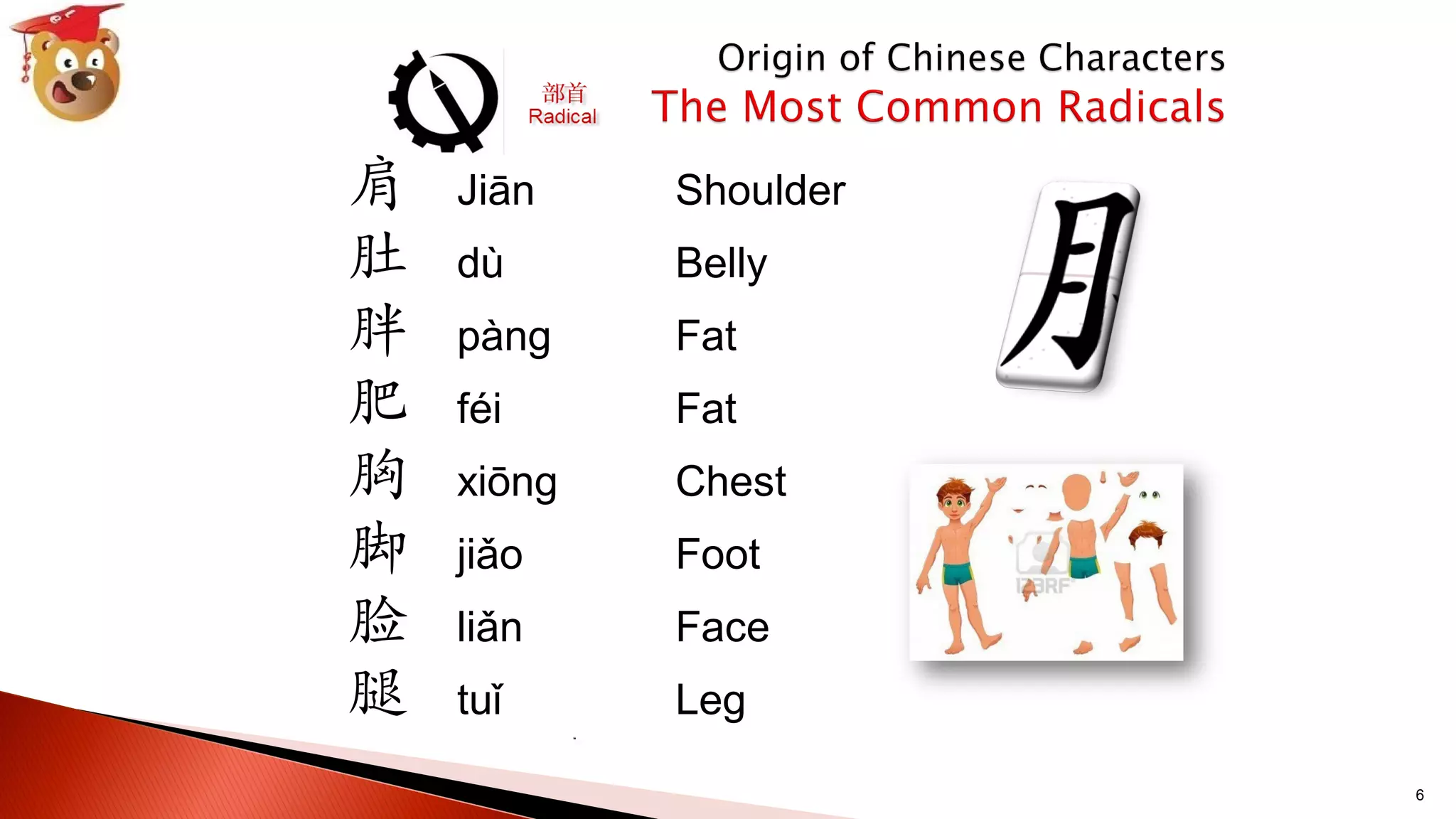 Origin of Chinese Characters HSK 3- 1710 胖 pàng fat; stout; plump ...
